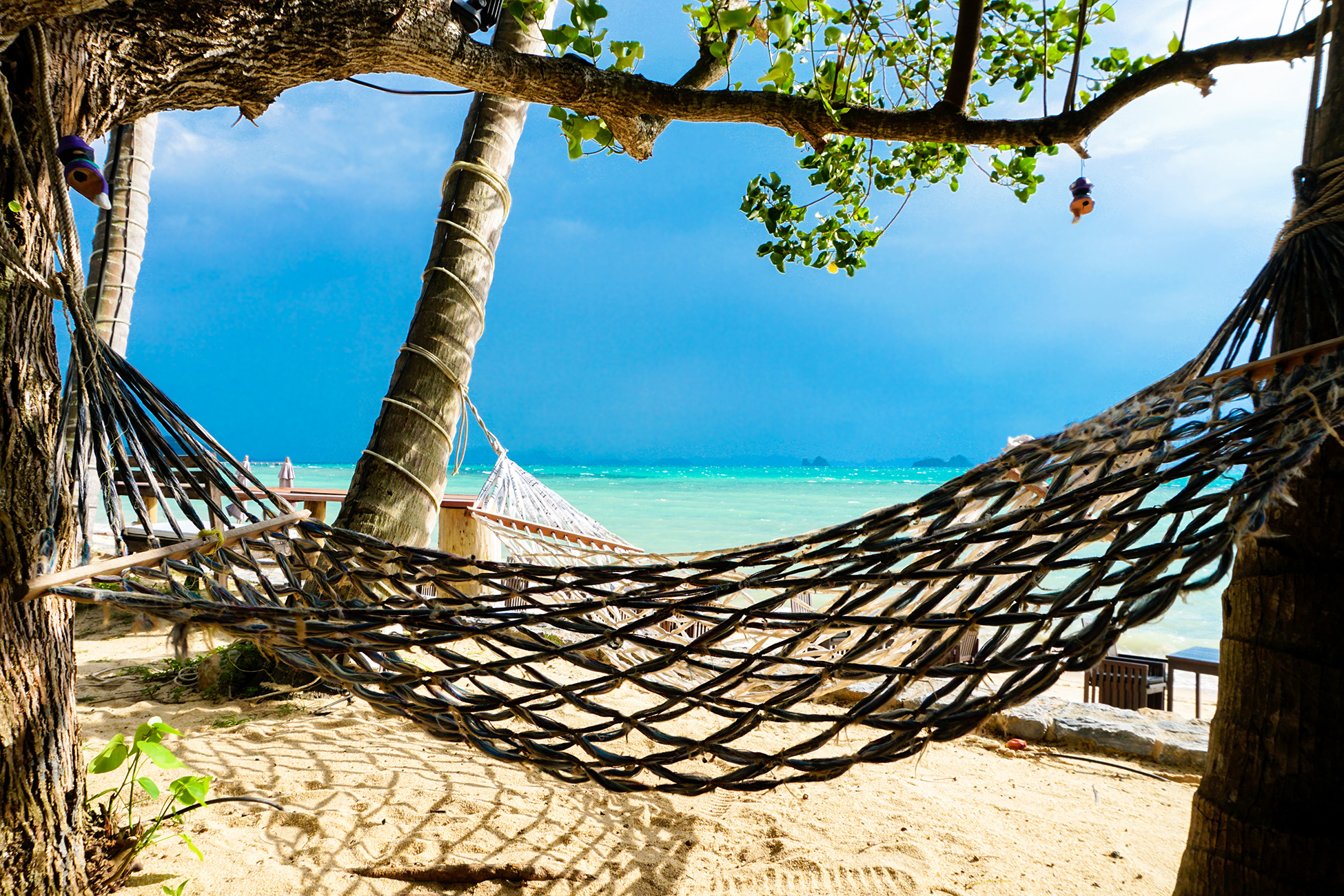 Quand Partir En Thailande ThailandVeo Quand Partir En Thailande ThailandVeo